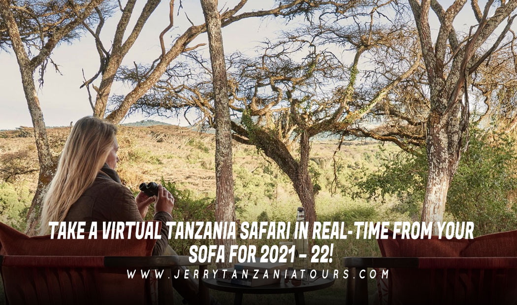 Take A Virtual Tanzania Safari Tours In Real-Time From Your Sofa!